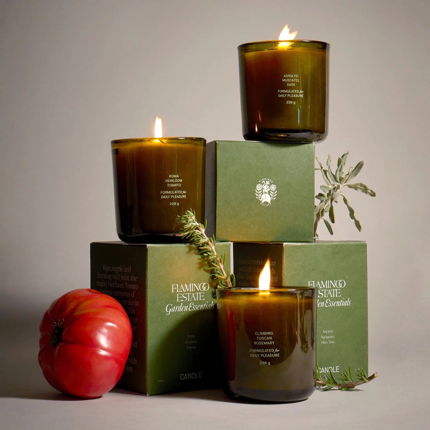 Roma Heirloom Tomato Candle – AUGUST